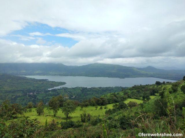 Places to Visit in Satara and Travel guide to Kaas Plateau - Fernwehrahee