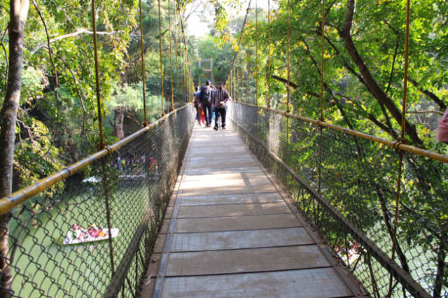 Places to Visit in Coorg in 2 days: Of Coffee and Cauvery - Fernwehrahee