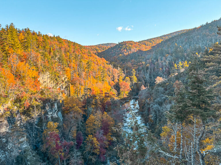 Ultimate 3-day Blue Ridge Parkway Itinerary: Fall Roadtrip - Fernwehrahee