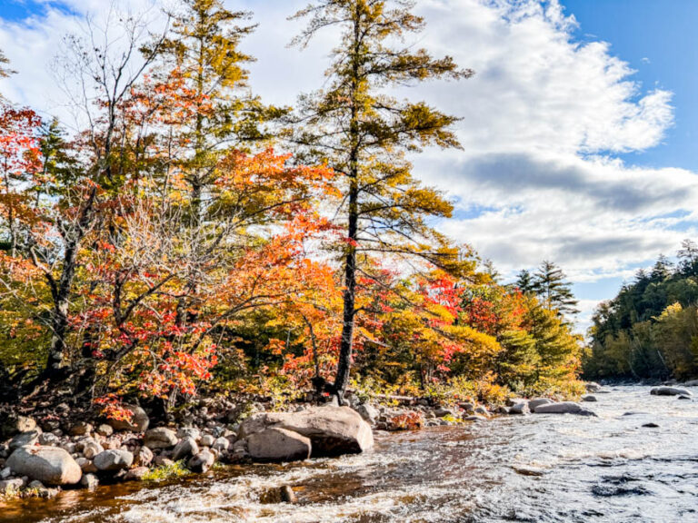 Boston to Maine Road Trip: 7 Day New England Fall Itinerary - Fernwehrahee