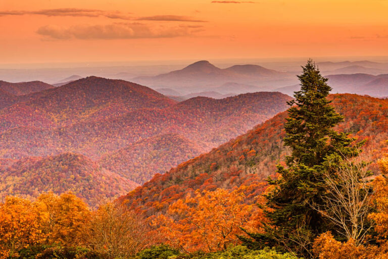 20 Best Places to see Fall Colors in Georgia(USA) - Fernwehrahee