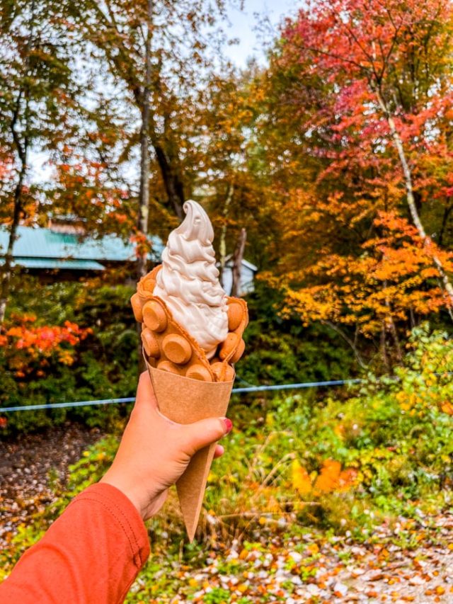 20 Best Spots to see Fall Foliage in New Hampshire + Itinerary ...